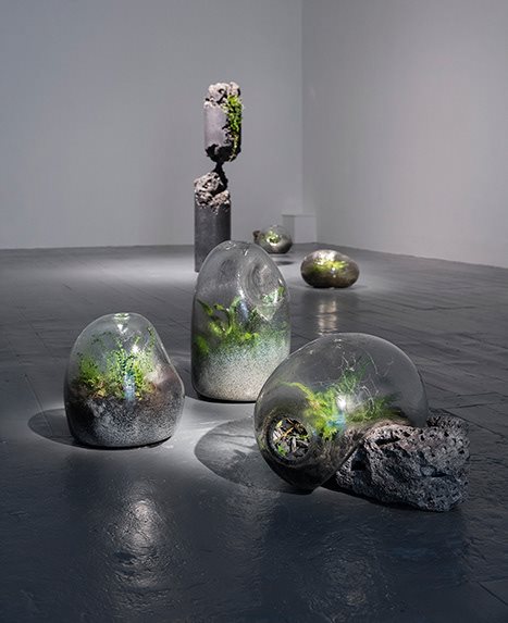 Jamie North | Art | Inspirations | Superzoom